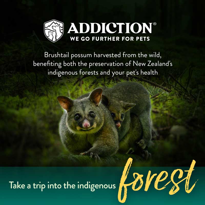 Perfect Summer Brushtail Air-Dried Dog Food 910g – Addiction Pet Australia