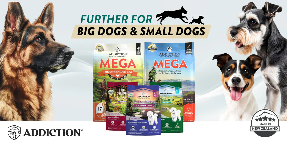 Big Dogs vs. Small Dogs: The Surprising Truth About Their Unique Needs ...