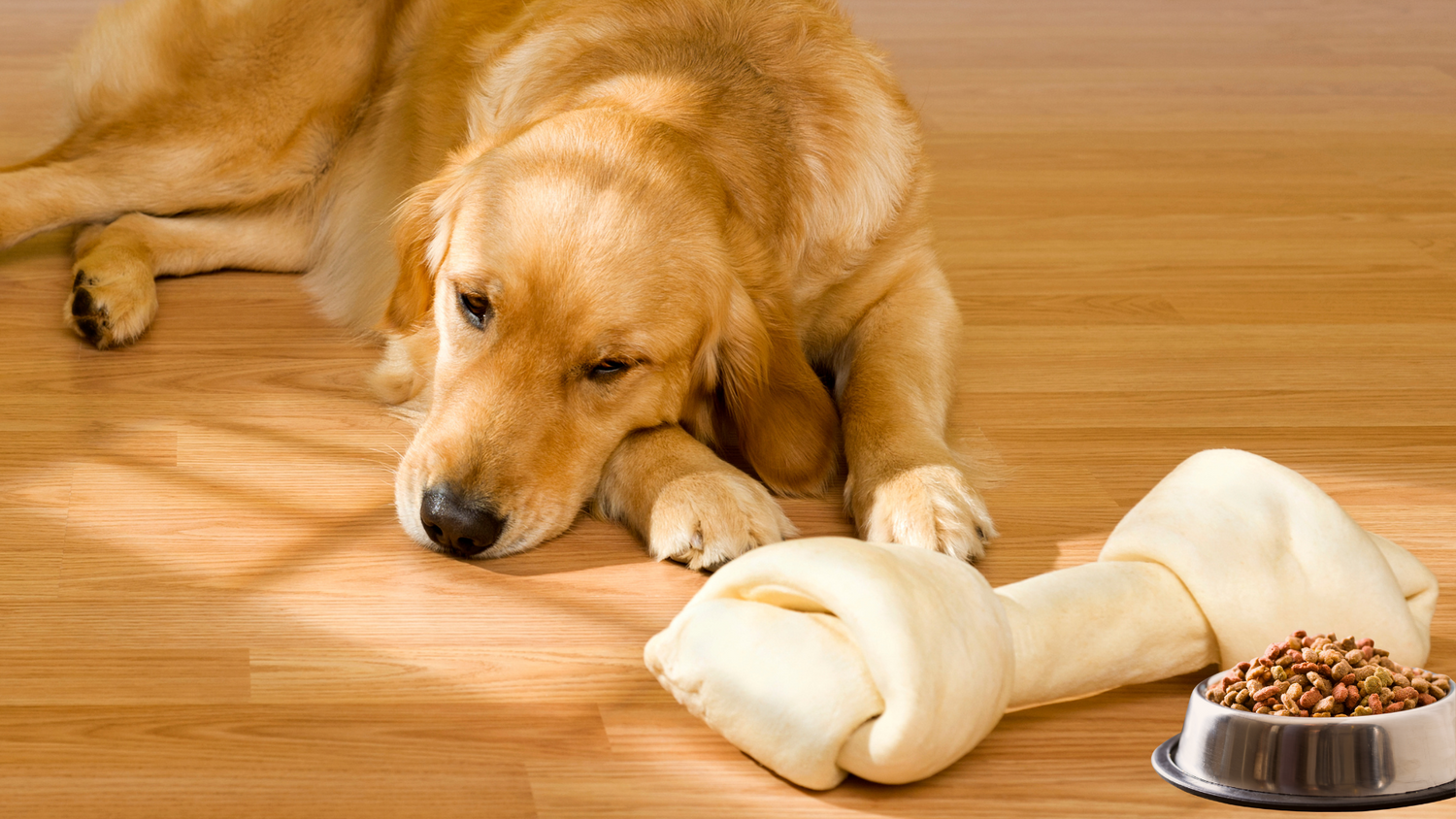 Addiction Pet Foods Australia: Premium Food for Dogs & Cats – Addiction ...