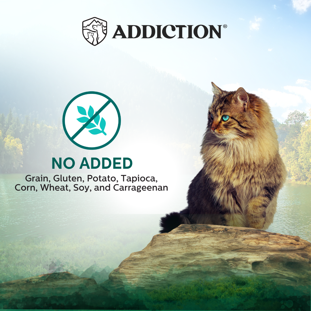 Addiction Wild Islands Island Birds Chicken & Turkey High-Meat, Organ ...