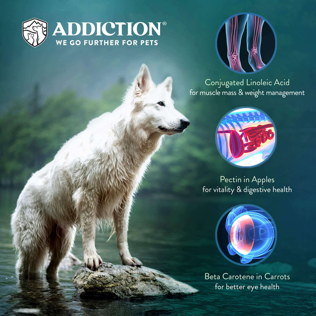 Outback Kangaroo Feast Raw Alternative Dog Food – Addiction Pet Australia