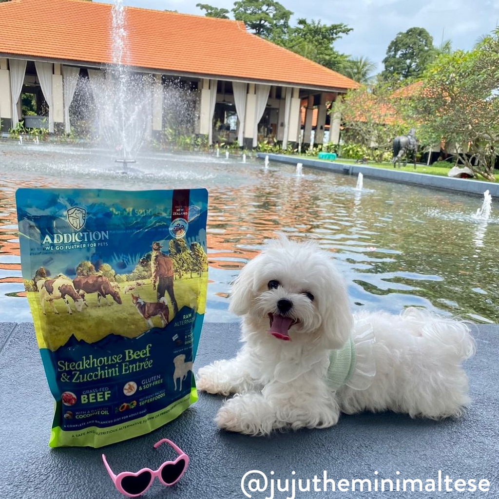 Steakhouse Beef & Zucchini Air-Dried Dog Food 910g – Addiction Pet Australia